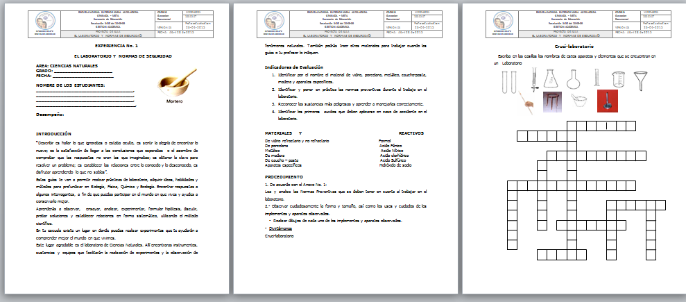 SEMILLERO ECOLÓGICO DE 2B: MAPA MENTAL