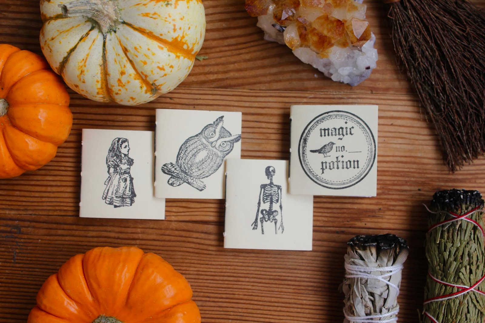 Magic Potion Notebook Bundles!