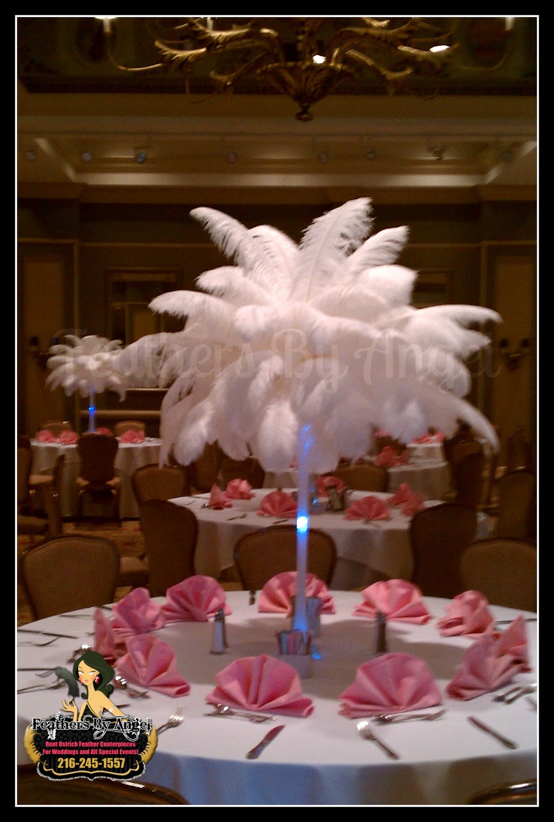 Feather Centerpieces in Austin Texas: Rent Feather Centerpieces in Texas