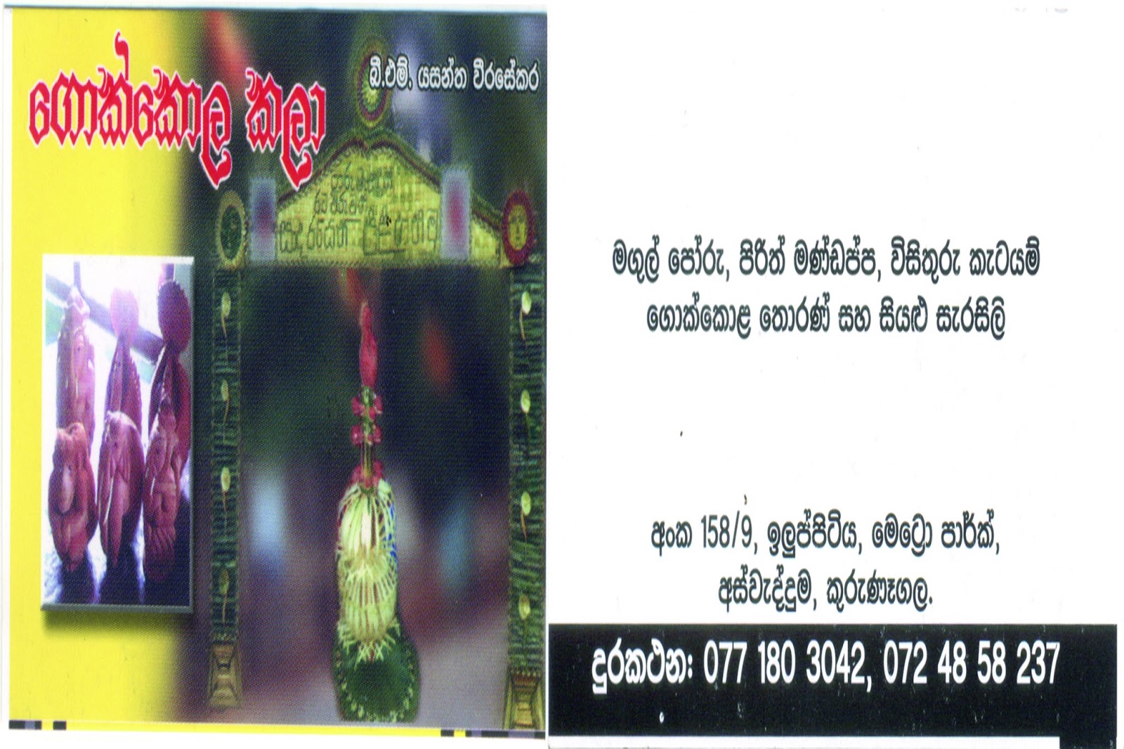 DISCOVERY Srilanka: Yasanta Gokkola.....Gok kola,Gok kalawa,Sarasili ...