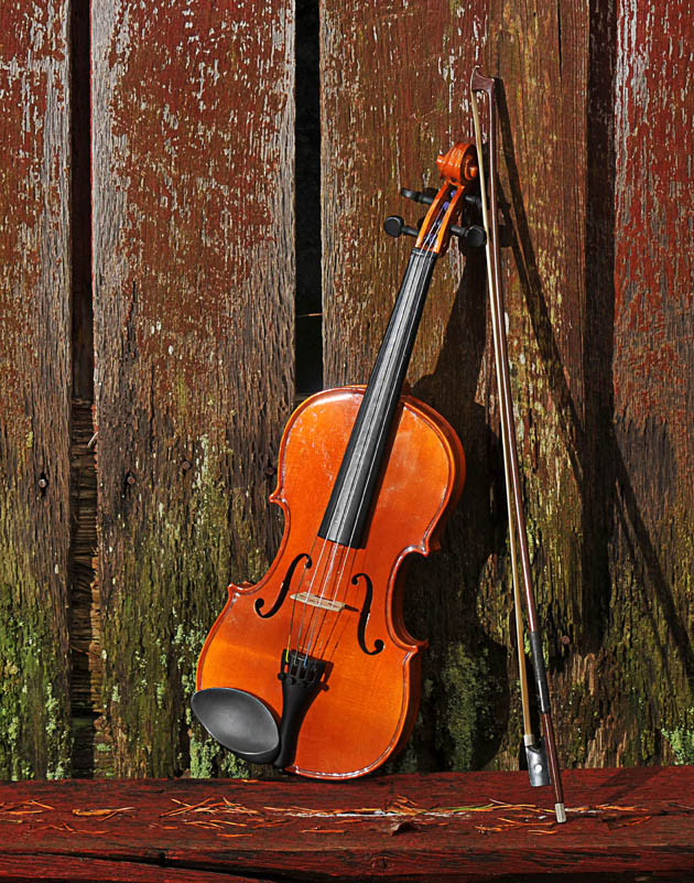 Paul Church Photography Fiddle Study paul-church-photography-fiddle-study