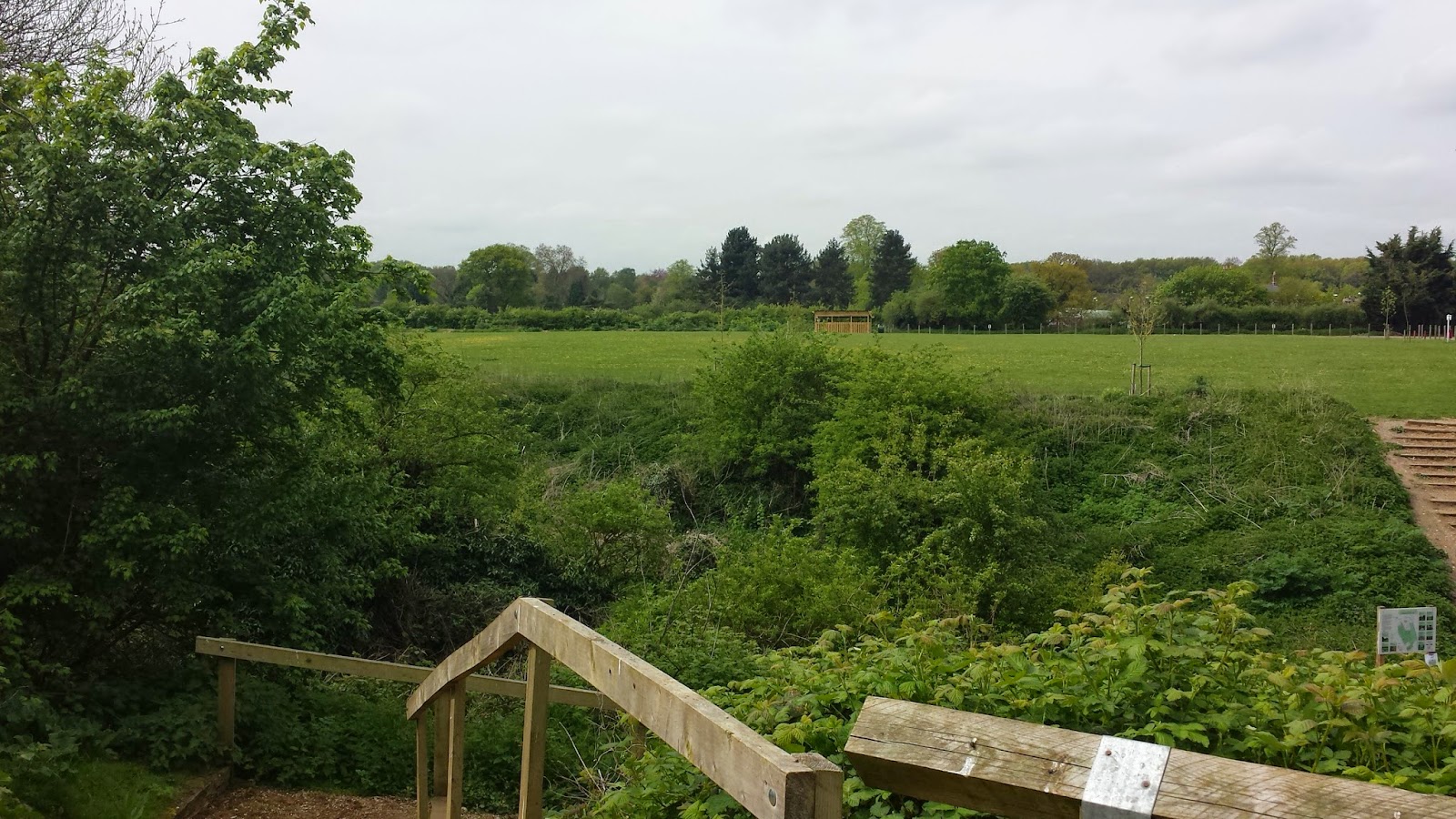 braywick nature reserve ~ OUT OF HOUSE