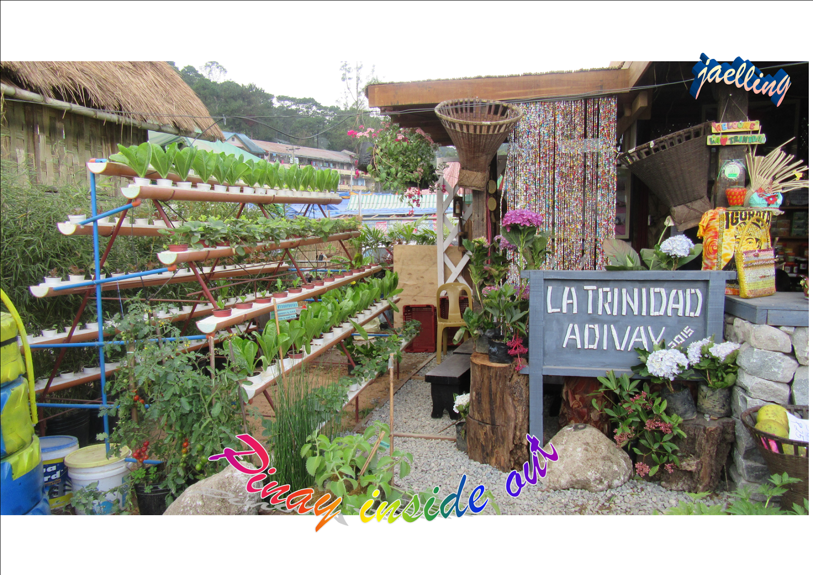 Booth of La Trinidad, Benguet - Adivay 2015