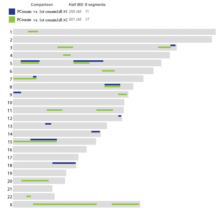 Your Genetic Genealogist: Known Relative Studies with 23andMe: Second ...