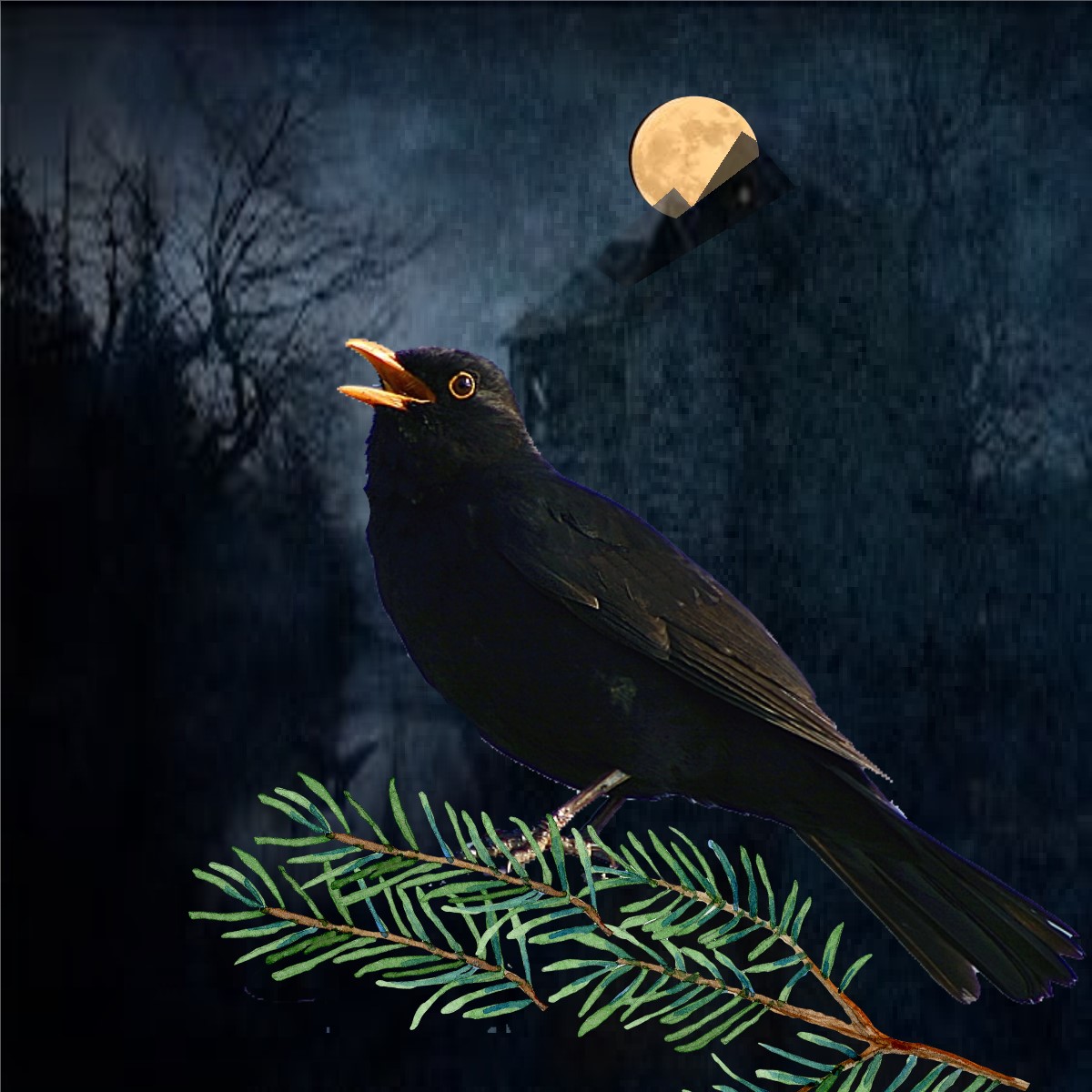 Indybev: Take A Word - Blackbird