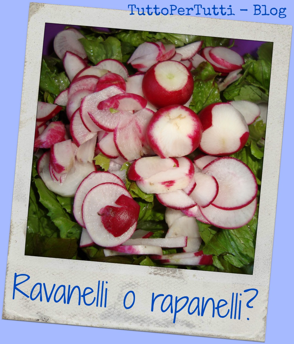 TuttoPerTutti: RAVANELLO o RAPANELLO?
