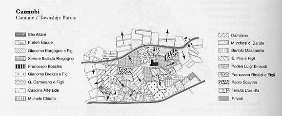 The Cannubi Conundrum ~ If 15 was 30 - On the Wine Trail in Italy