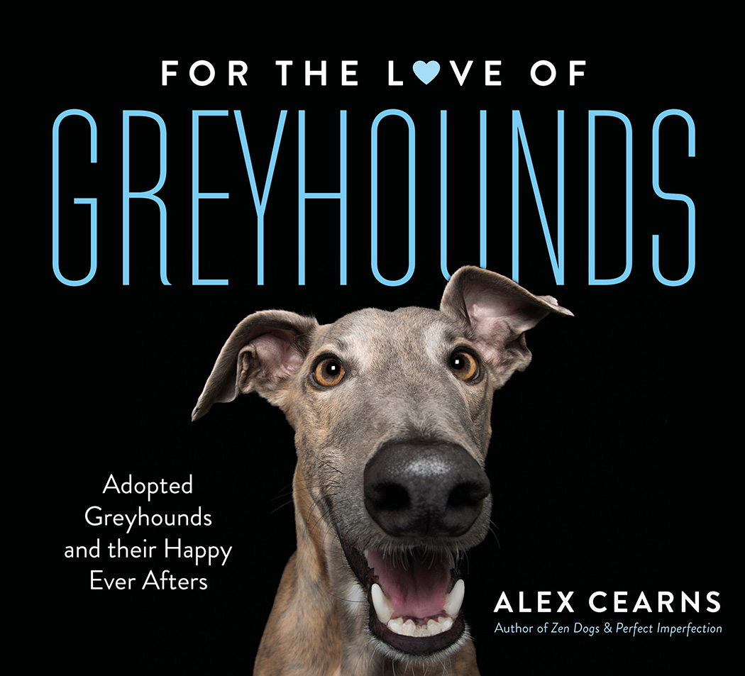For the Love of Greyhounds by Alex Cearns | Australian Dog Lover