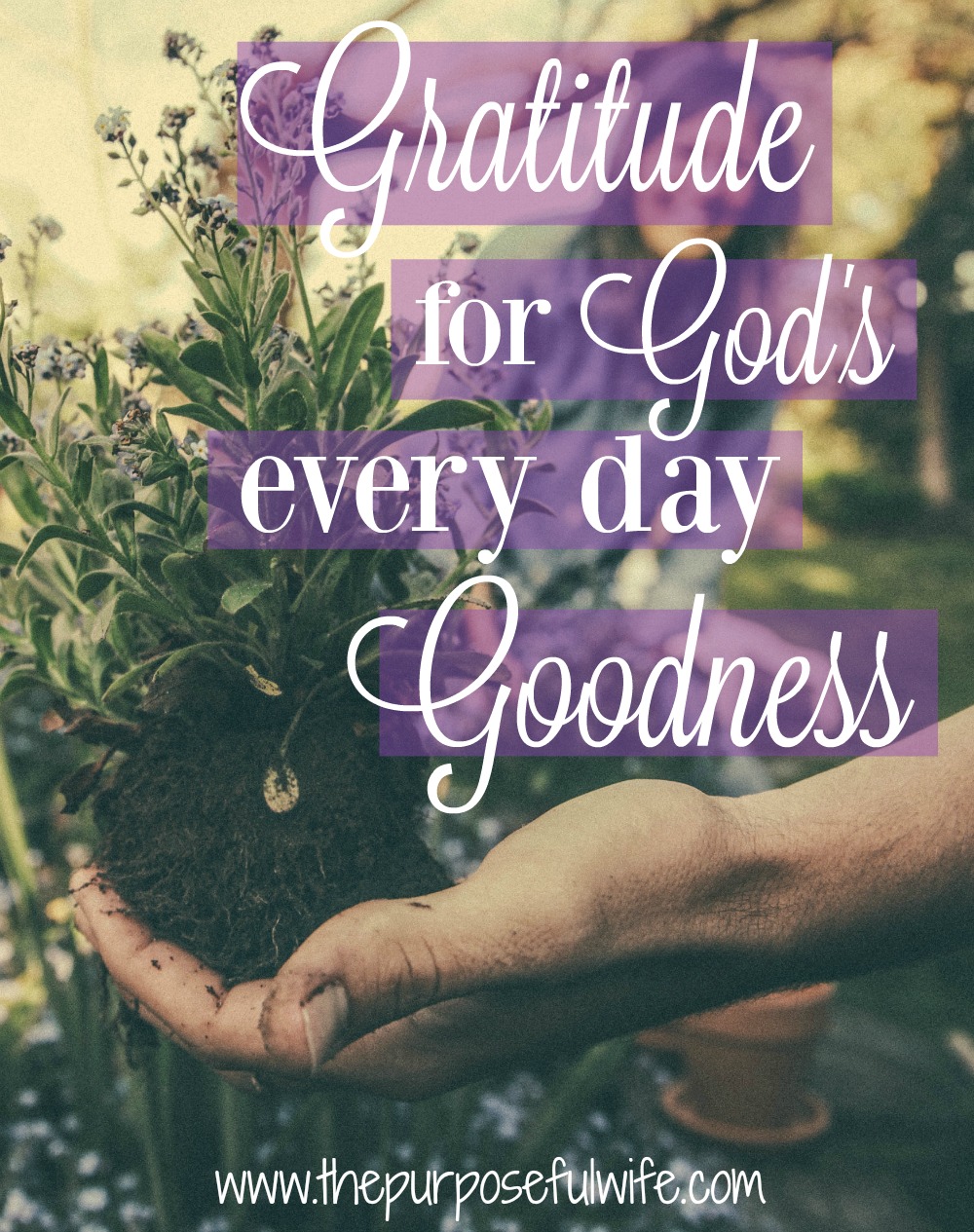 Oh yes, complaining and I are familiar companions.