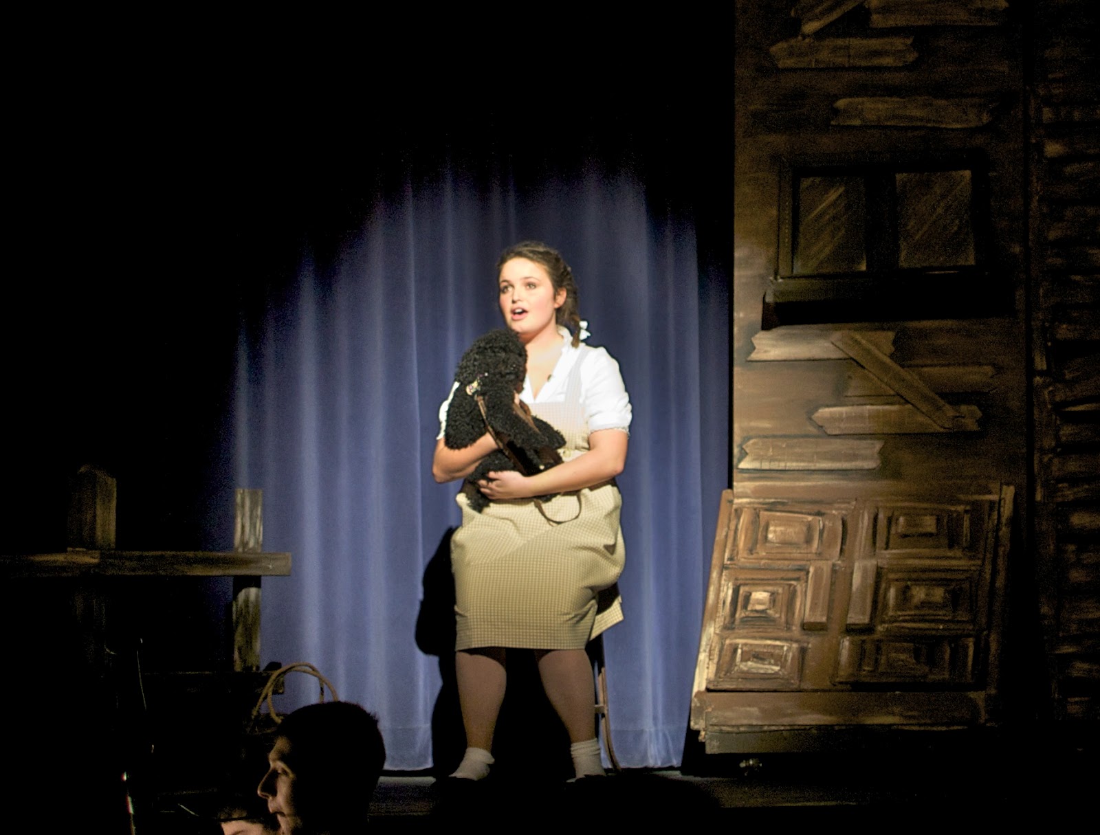 WGHS DRAMA Past Shows 2006-2013: Fall Musical 2009 - "The Wizard of OZ"