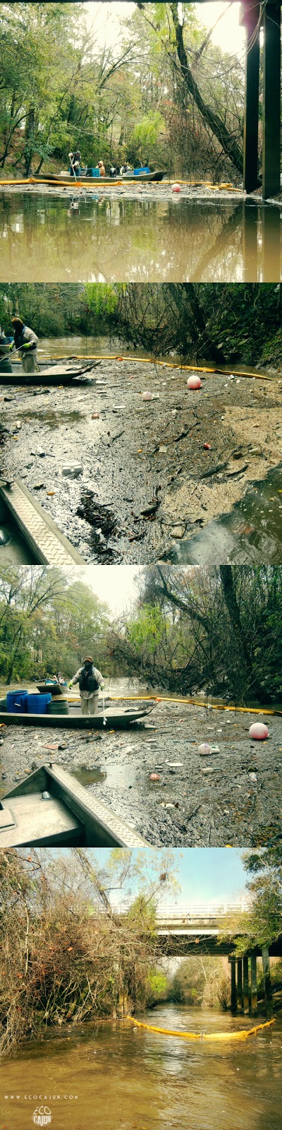 Local Organization Spotlight | Bayou Vermilion District - Eco Cajun