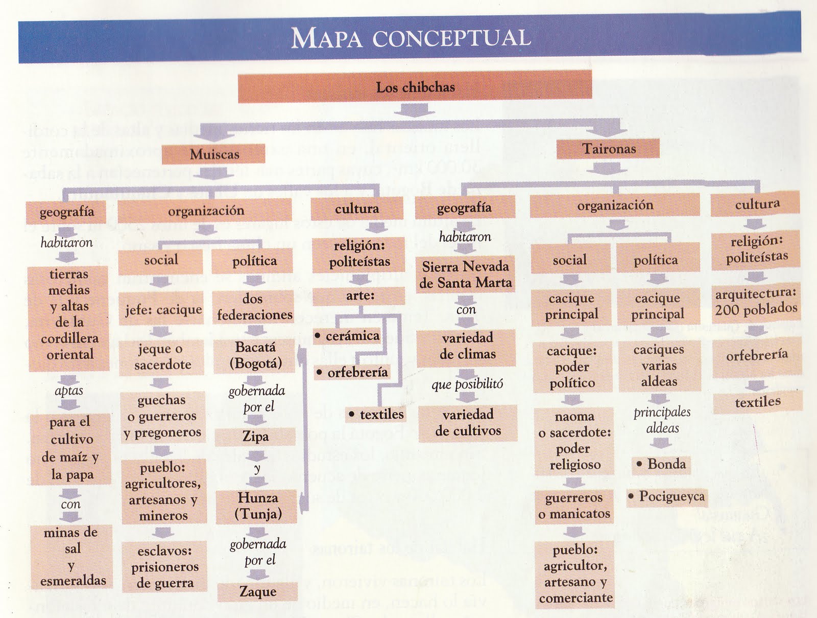 SOCIALES J - A: LOS CHIBCHAS