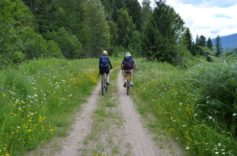 Jessica Rae Gordon: Illustrated Map of Nelson, BC