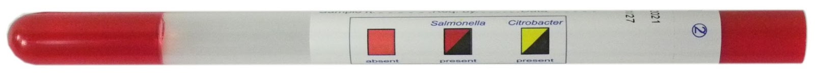 CONTAM SWAB for Microbial Testing of Surfaces - Bahan Laboratorium.Com