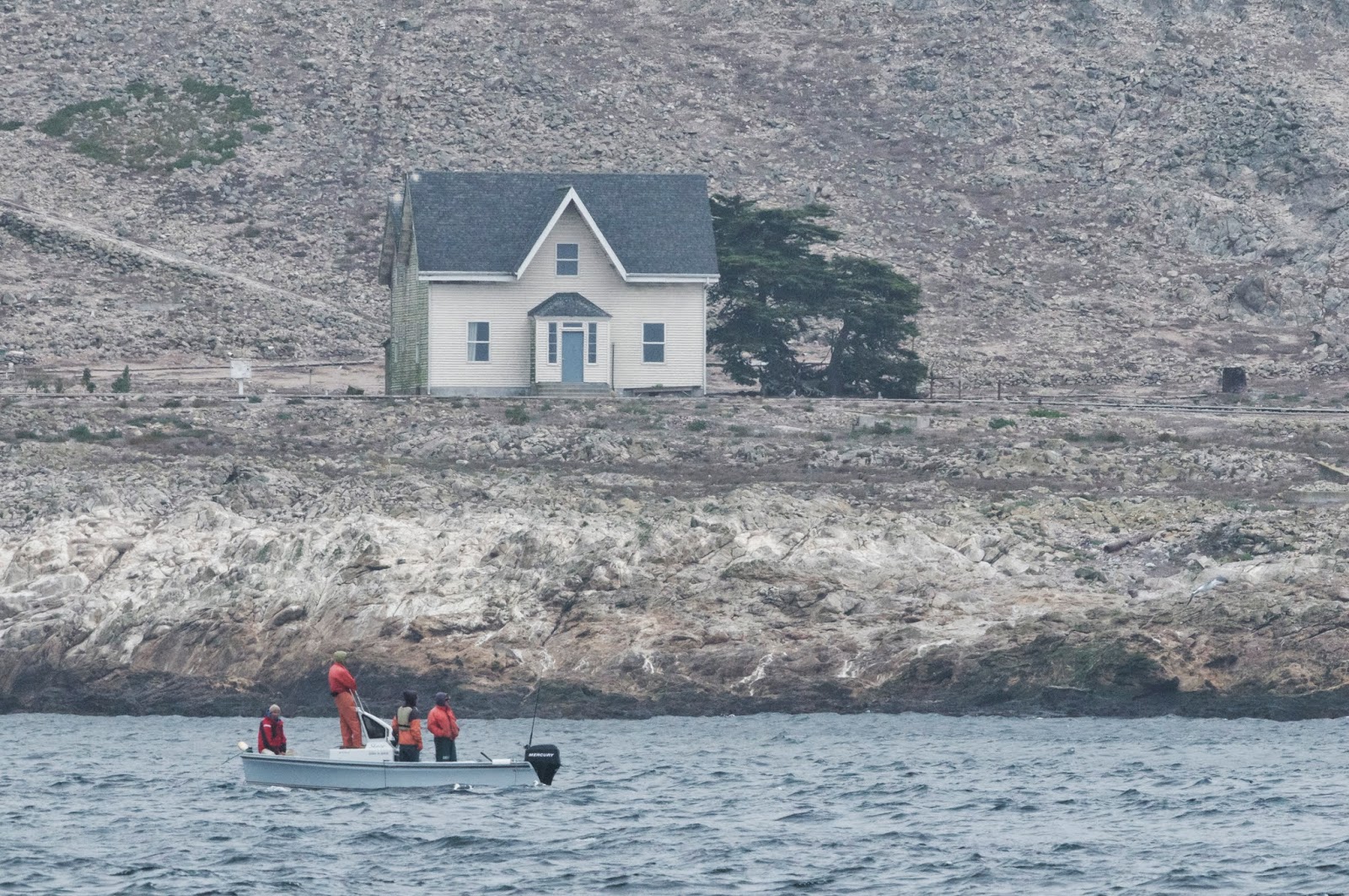 Debi Shearwater's Journeys: TRIP REPORT: OCTOBER 20, 2013 FARALLON ...