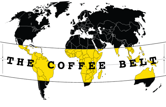 10 Caffeinated Things Worth Knowing