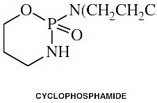 Microbiologia IFRJ - Campus Rio de Janeiro: Micro-organismos ...