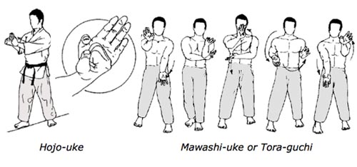 Karate y acupuntura: UTILIZACION DEL MAWASHI UKE EN PUNTOS MU O ALARMA ...