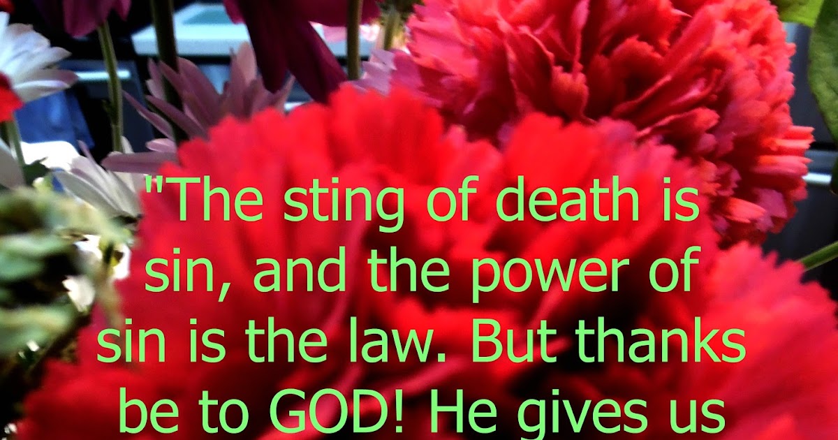 Flowery Blessing: "The sting of death is sin, and the power of sin is ...