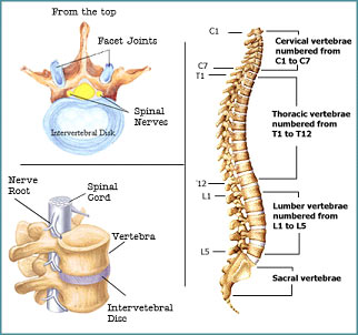 Monday Morning with ...: A Crooked Spine