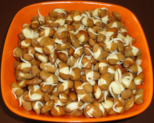 Vidyas Veg Recipes: Kadve vaalachi usal - Sprouted bitter beans sabzi