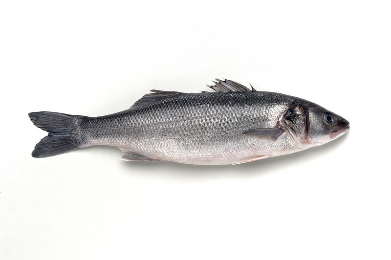 Saiba mais sobre o robalo, o peixe destaque do mês