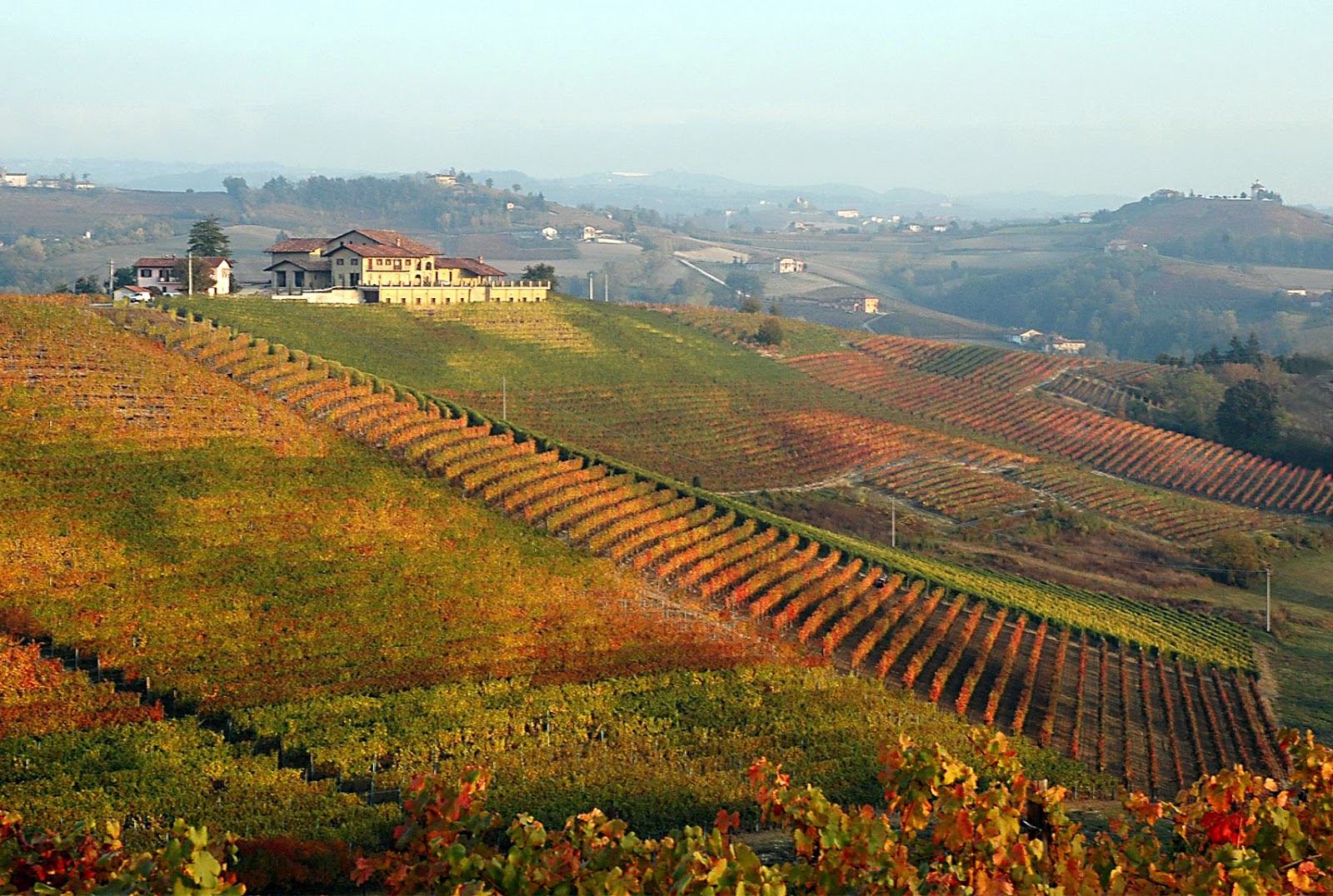 The V.I.P. Table: Worth The Hunt: Dolcetto di Dogliani