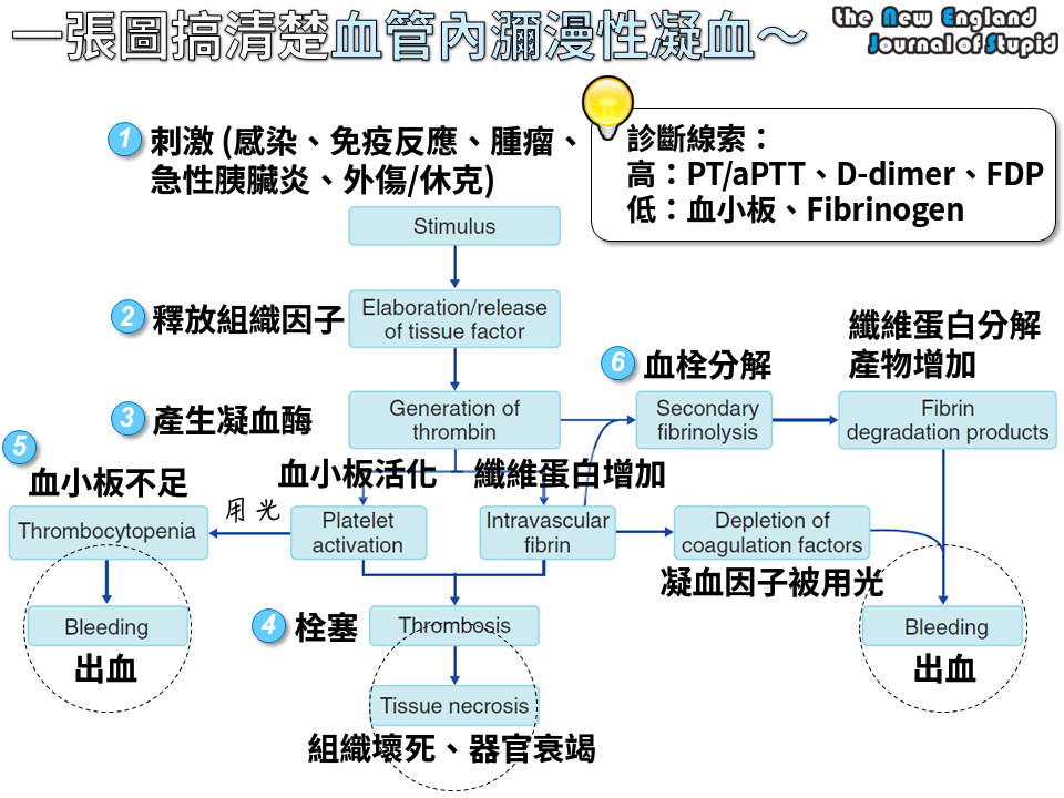 [重症醫學] 一張圖搞清楚血管內瀰漫性凝血 (disseminated intravascular coagulation)，附診斷小技巧 ...