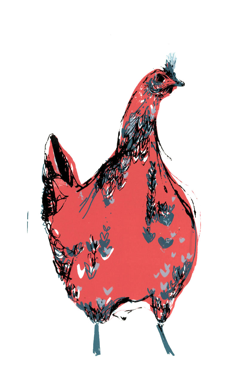 Rosanna Morris: Screen Printed Chickens.