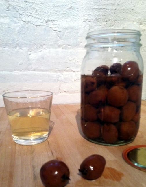 Eating My Words: A Charleston loquat grows in Raleigh – and may yield ...