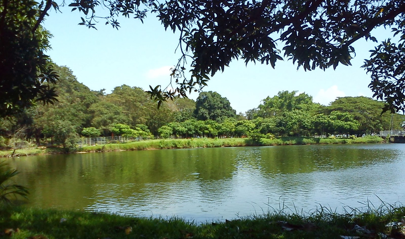 Danau Unhas yang Memukau ~ Cheny Nugrahayu