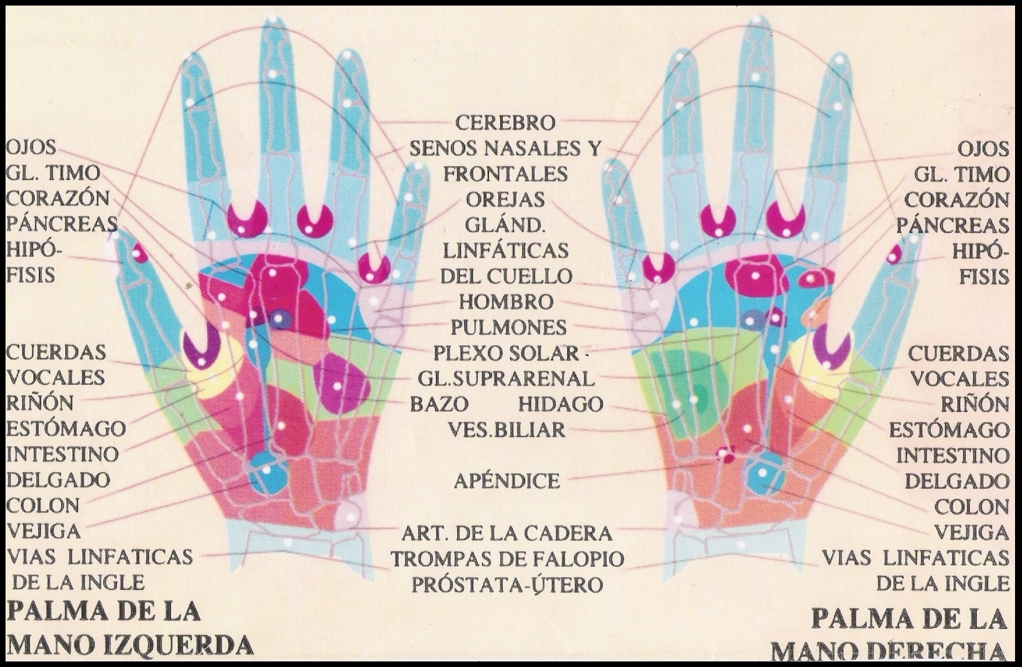 Terapia Natur Aly: La reflexología.