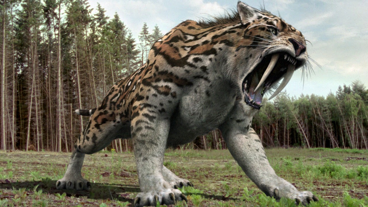 Tigre dientes de sable (Smilodon)