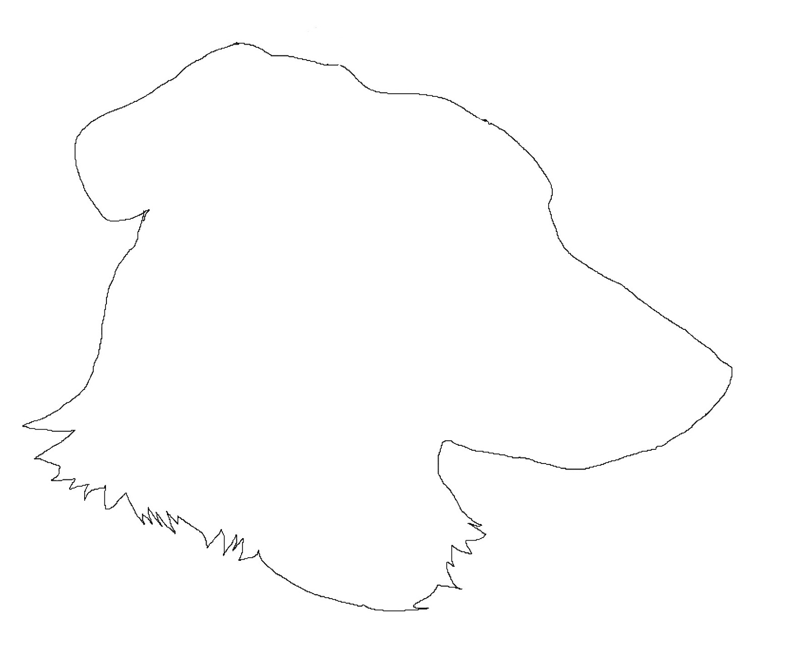 Holly Goes Lightly: Pet Profile Art