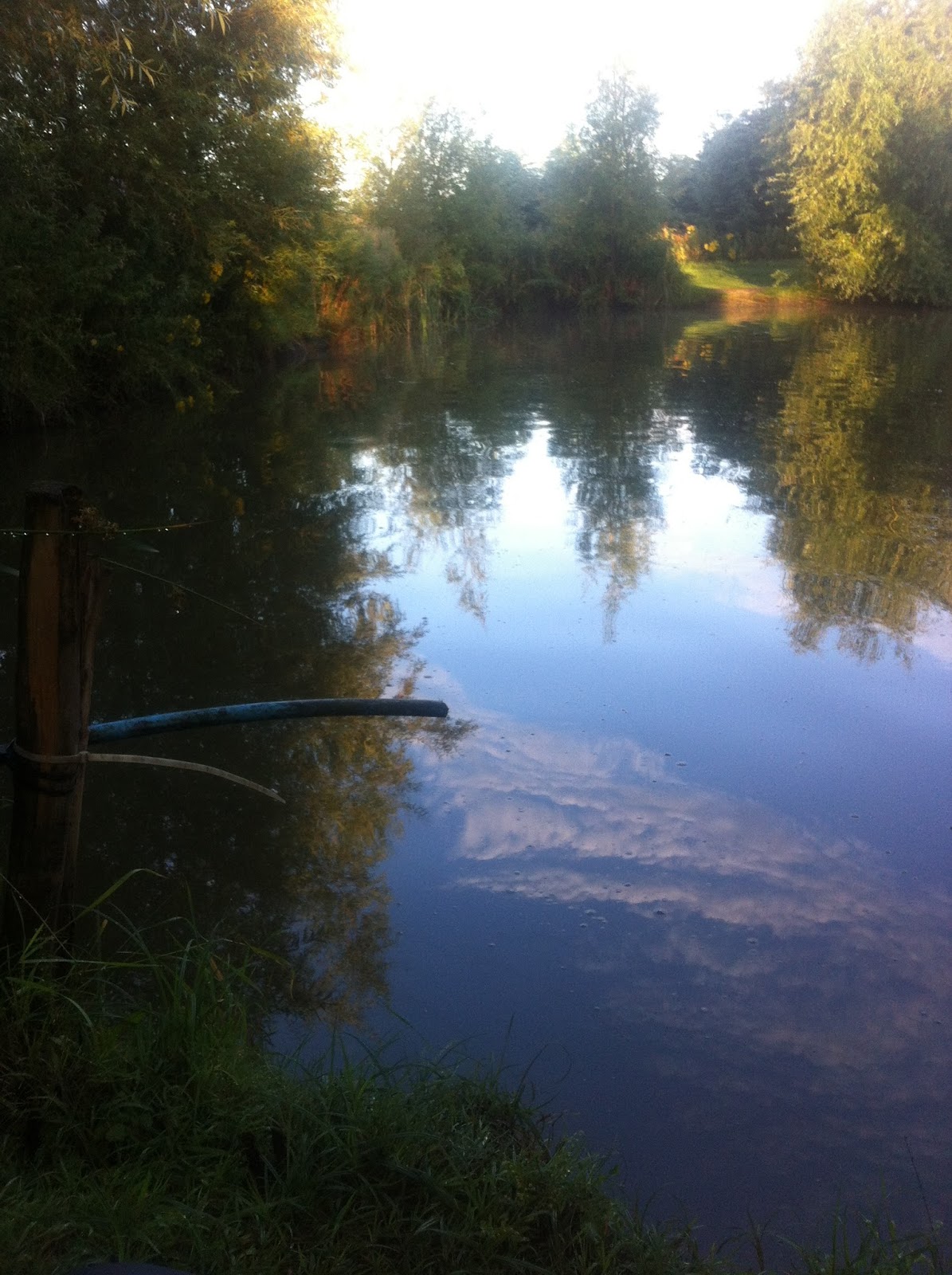 UK fishing venues: Rising Sun Fisheries (Lake 2) - Venue Review