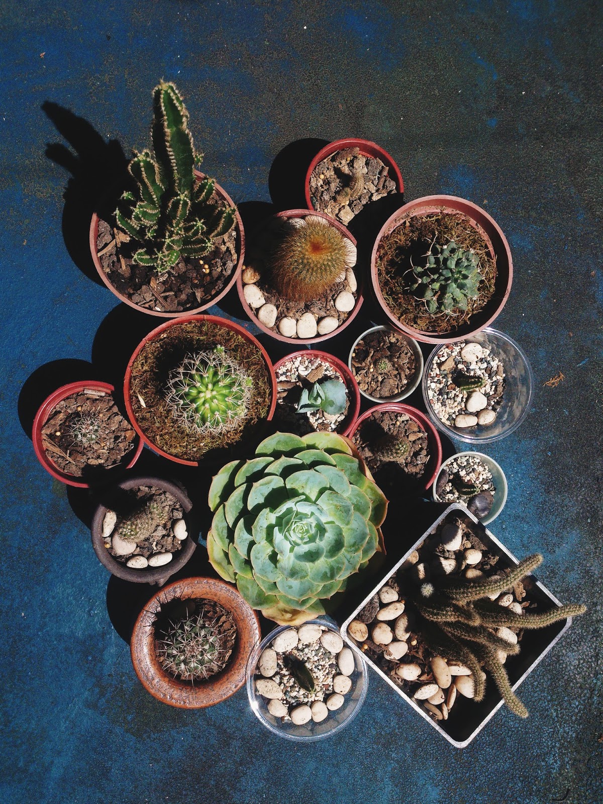 Pushing Boundaries: Lee Caces - The Number 60