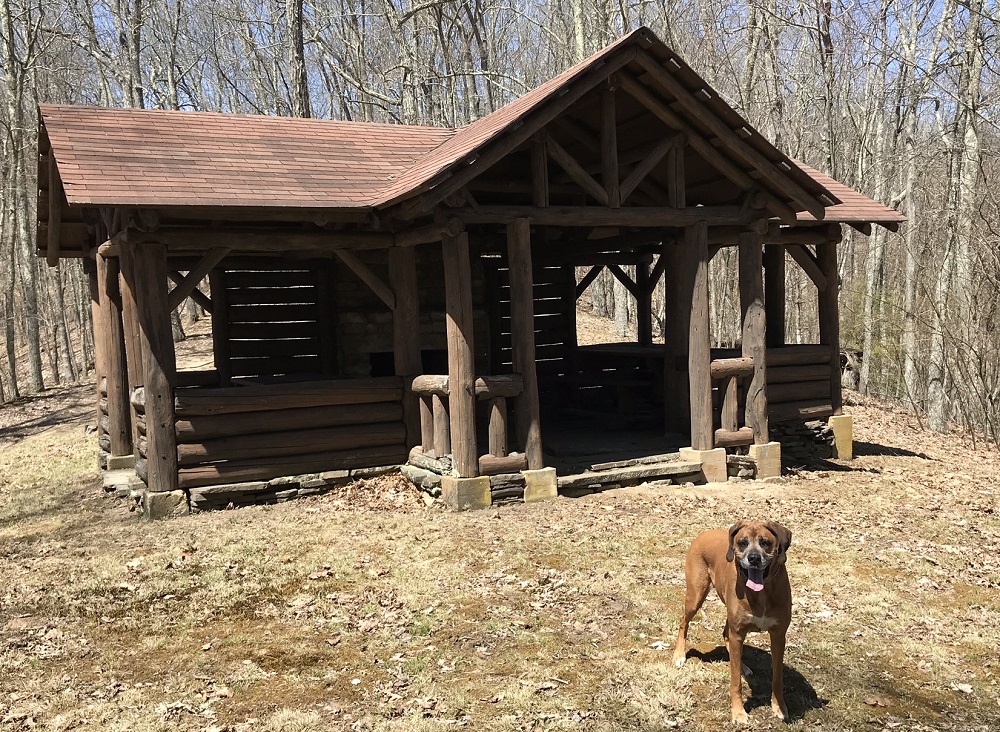 Wandering Virginia: Seneca State Forest, West Virginia