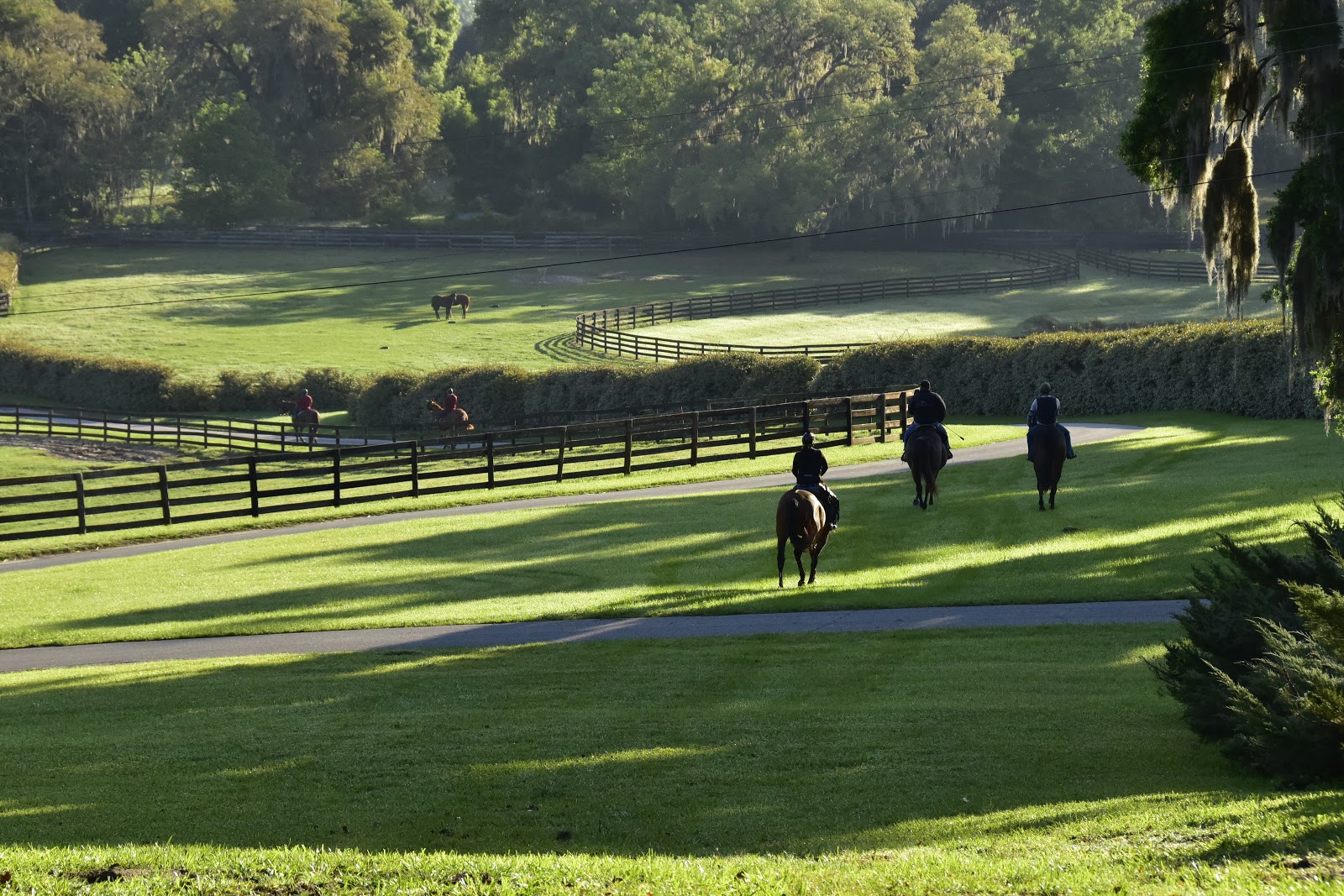 7 Tips for Buying the Right Horse Property - Savvy Horsewoman