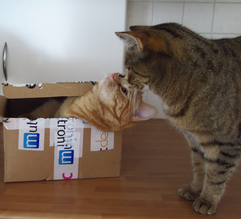 Kiskatit: Postipaketti