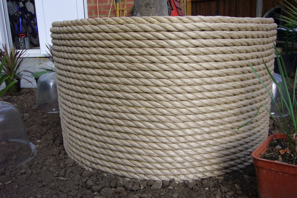 Spiky obsession: The planter issues continue