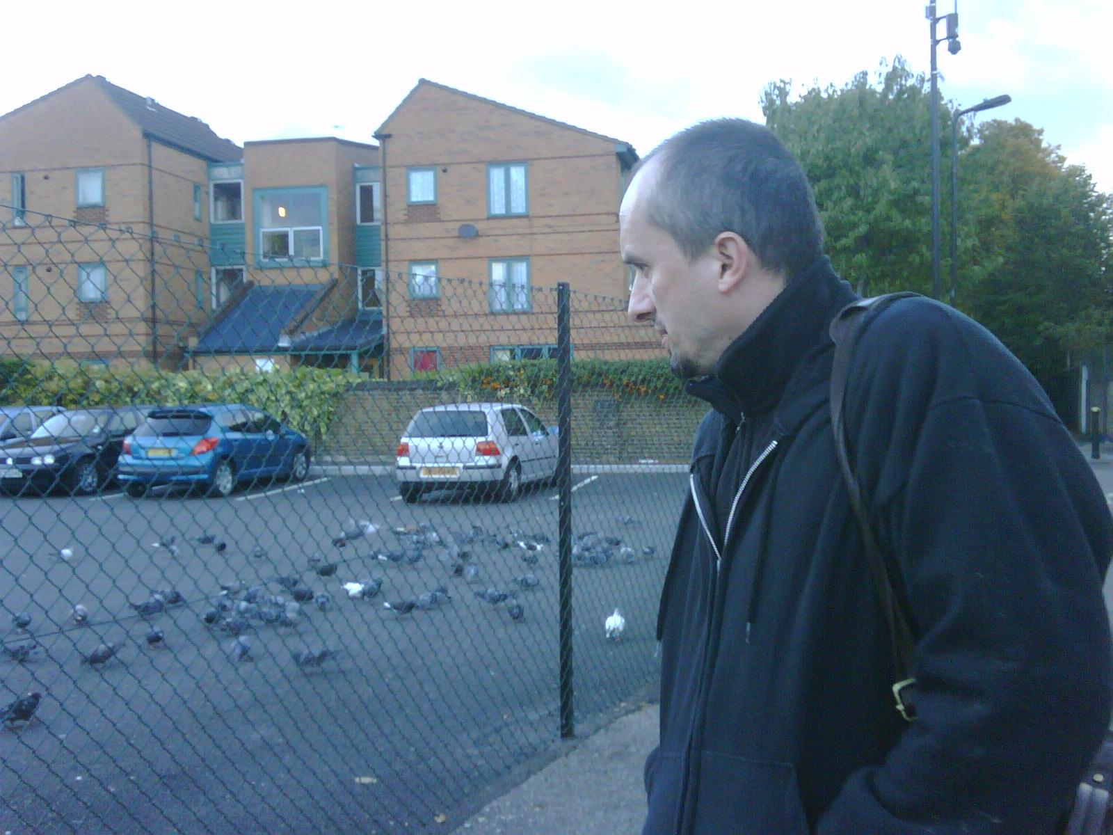PigeonRescueTeam Blog: What We do , Who we Are