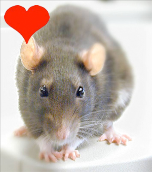 Bare Brained: Nurture Can Trump Nature: Love Is The Best Medicine