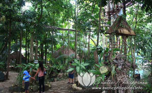 8 Sites to Check Out When You're in Argao - Exotic Philippines