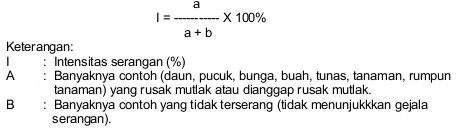 TEKNIK PENGAMATAN OPT ~ INFO OPT DIY