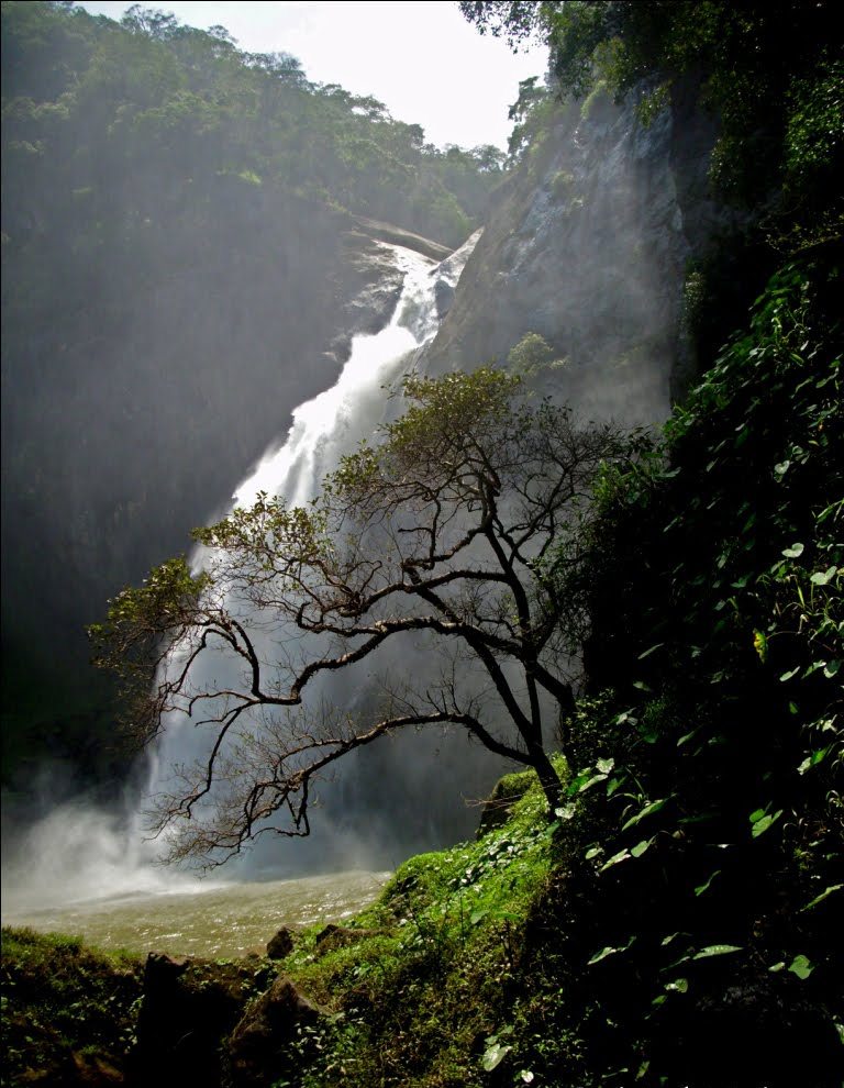 Beautiful Sri Lanka: Dunhinda Falls (Badulla)