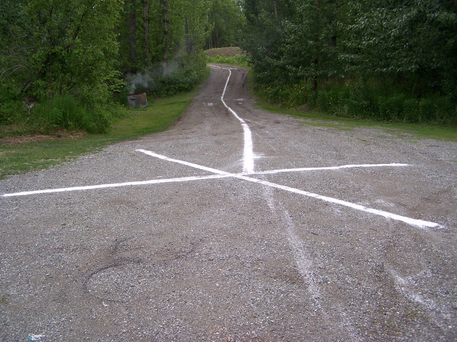 Fun Frank Fridays: Fun Frank Friday- on Steriods...Part 1!