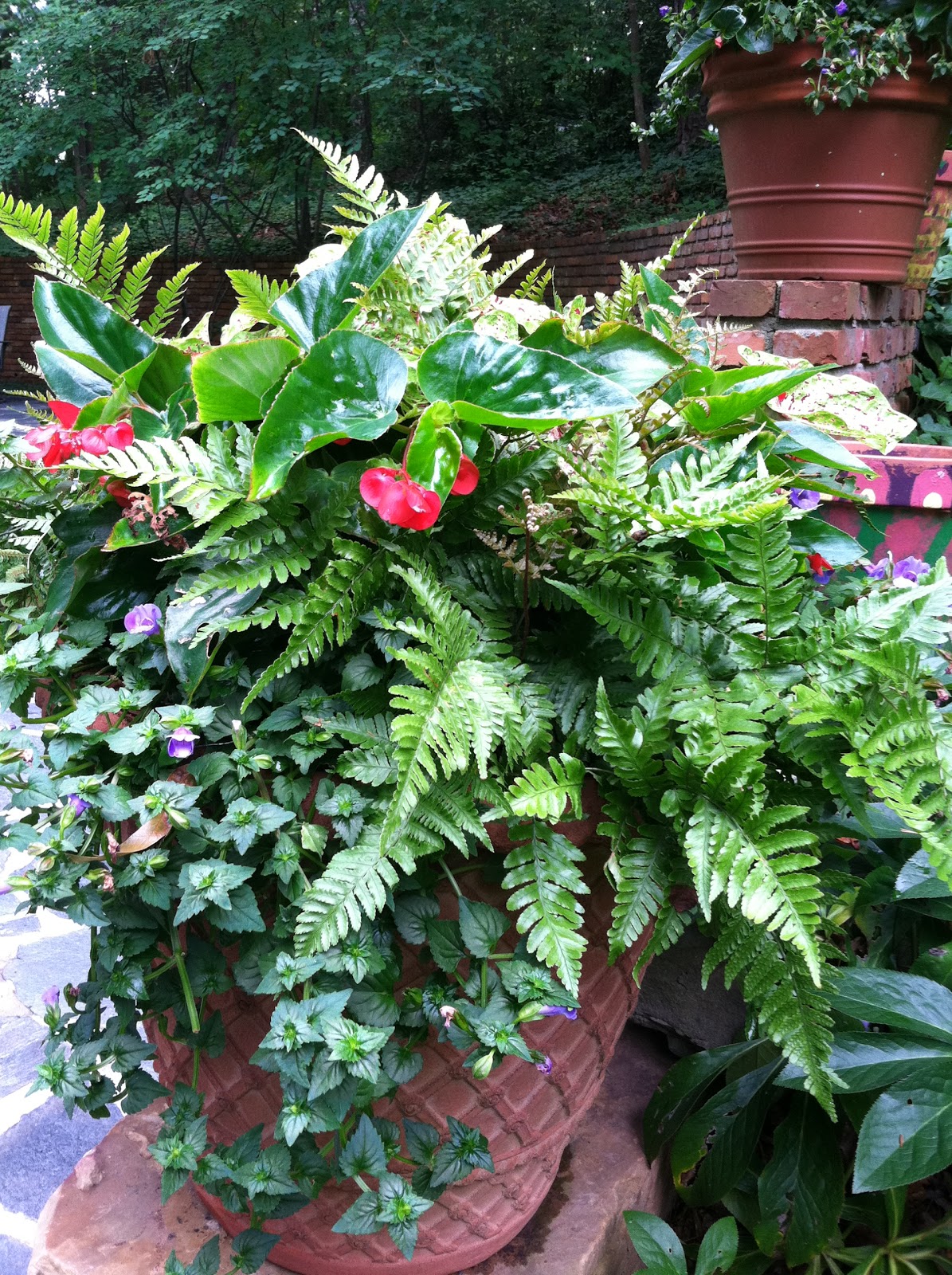 Container Gardening: Splendid Spring and Summer