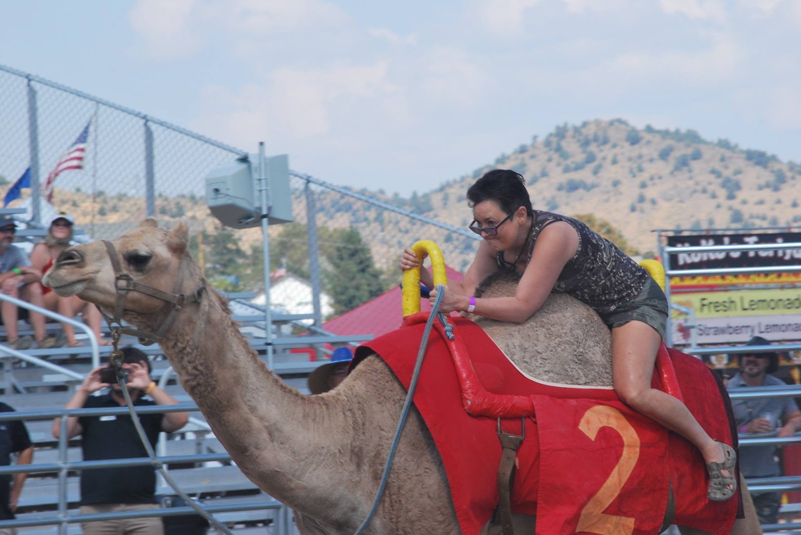 Camel Racing in Virginia City - Munchie Musings