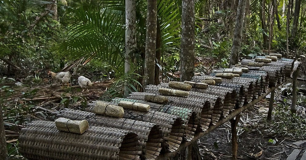 Site Último Fato: MATAPI. O QUE É? PRA QUE SERVE?