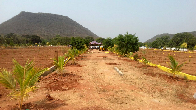 శ్రీగంధం ఫాంల్యాండ్ ప్లాట్లు ఇప్పుడు ఆగిరిపల్లికి అతిదగ్గరలో!: శ్రీగంధం ...